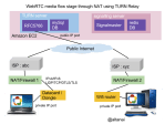 NAT traversal using STUN and TURN – Telecom R & D